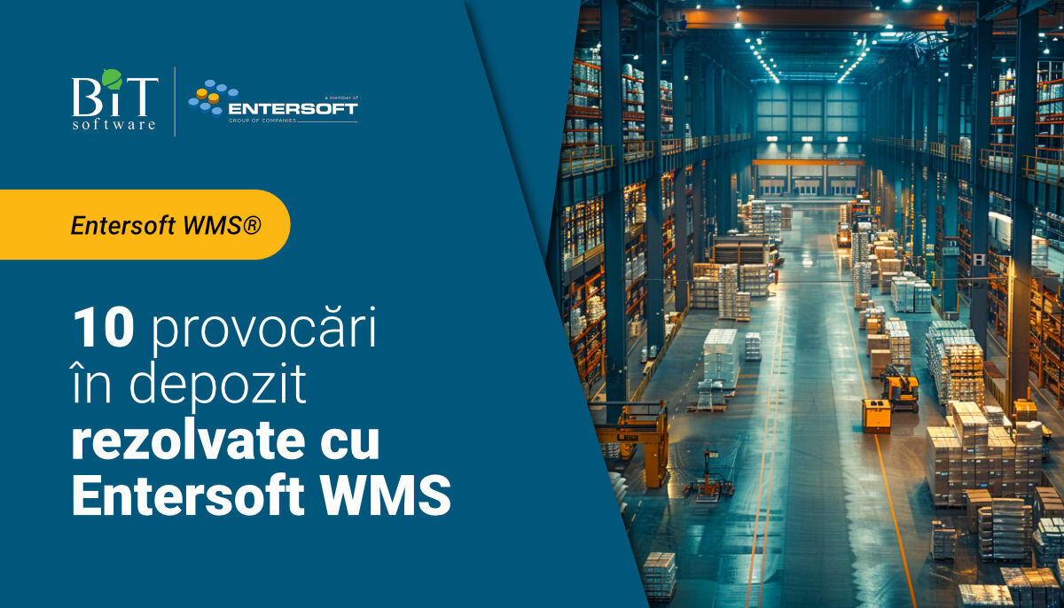 10 provocări în depozit rezolvate cu Entersoft WMS